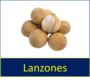 40+ List of Astringent Fruits & Vegetables - Vocabulary Point