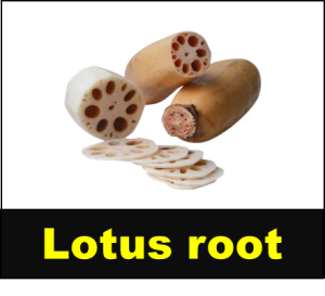 Root Fruits And Vegetables List (List Of Root Veg) - Vocabulary Point