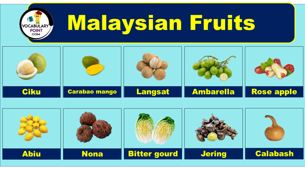 Malaysian Fruits (Malaysian Fruits Names With Their Benefits ...