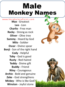 600 + Funny Monkey Names (Famous, Pet, Male & Female) - Vocabulary Point
