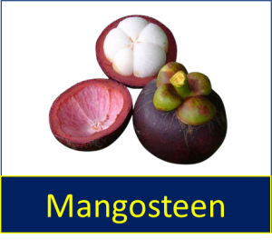 40+ List of Astringent Fruits & Vegetables - Vocabulary Point