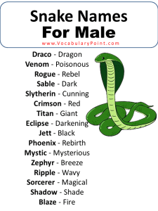 450+ Best Snake Names (Pet,Funny,Cool & Badass) - Vocabulary Point
