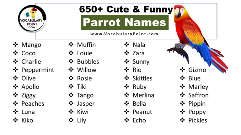 Adorable Parrot Names (Cute, Funny, Pet & Cool) - Vocabulary Point