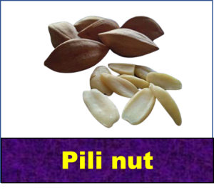 Top 50 Fat Rich Fruits - Vocabulary Point