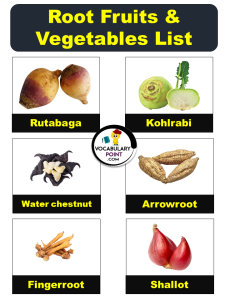Root Fruits And Vegetables List (List Of Root Veg) - Vocabulary Point