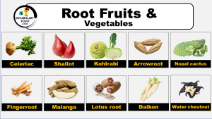 Root Fruits And Vegetables List (List Of Root Veg) - Vocabulary Point