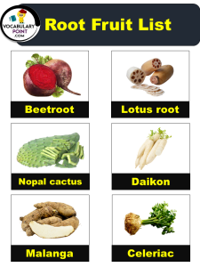Root Fruits And Vegetables List (List Of Root Veg) - Vocabulary Point
