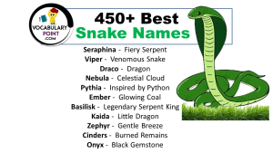 450+ Best Snake Names (Pet,Funny,Cool & Badass) - Vocabulary Point
