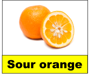 List of Sour Fruits (Sour Fruits Names) - Vocabulary Point