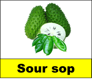 List of Sour Fruits (Sour Fruits Names) - Vocabulary Point