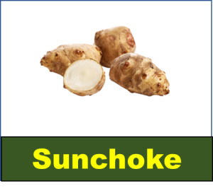 50+ Fruits That Grow In The Ground - Vocabulary Point