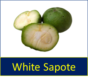 40+ List of Astringent Fruits & Vegetables - Vocabulary Point