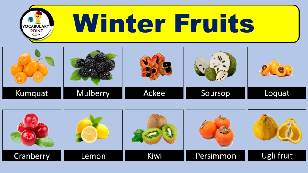 Winter Fruits(List Of Winter Fruits With Their Benefits) - Vocabulary Point
