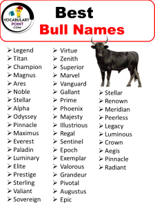 350+ Bull Names (Funny, Strong & Pet Naming Ideas) - Vocabulary Point