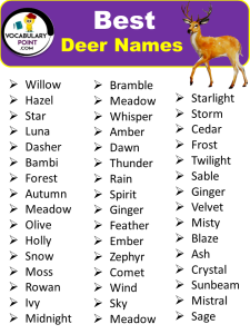 300+ Best Deer Names (Pet, Cute & Cool) - Vocabulary Point