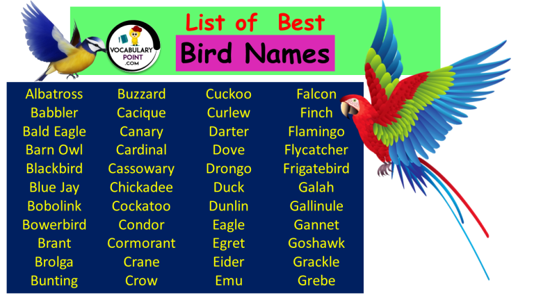 350+ Best Bird Names (Pet, Funny and Cool) - Vocabulary Point