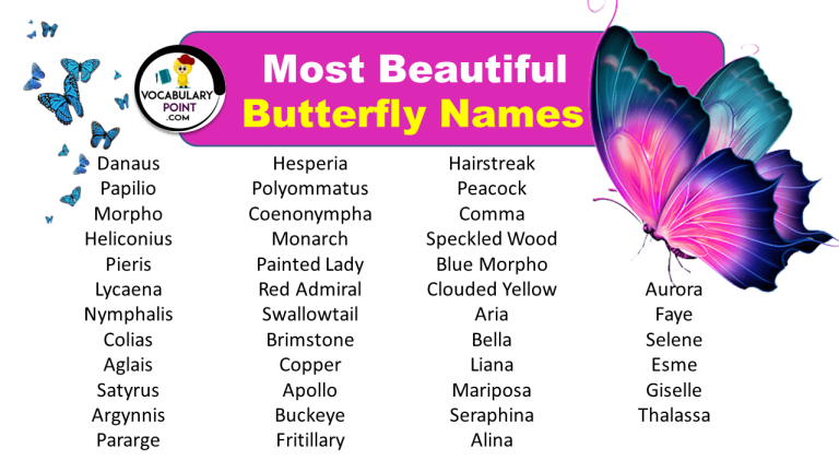 170+ Beautiful Butterfly Names (Cute & Colourful) - Vocabulary Point
