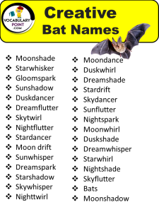 150 Bat Names (Pet, Cute & funny) - Vocabulary Point