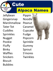 List Of Alpaca Names (Best, Funny, Cute, Male& Female) - Vocabulary Point
