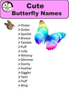 170+ Beautiful Butterfly Names (Cute & Colourful) - Vocabulary Point