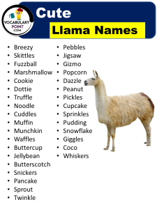 Best Llama Names (Funny, Cute, & Pet) - Vocabulary Point