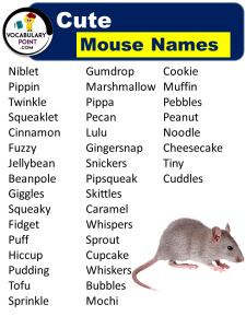 600+ Best Mouse Names (Cool, Cute & Funny) - Vocabulary Point