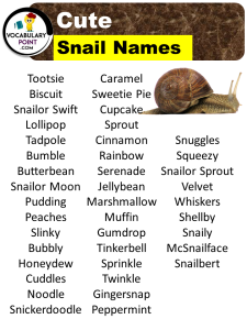 250+ Best Snail Names (Cute, Funny & Good Names) - Vocabulary Point