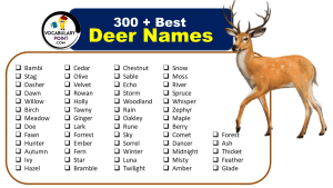 300+ Best Deer Names (Pet, Cute & Cool) - Vocabulary Point