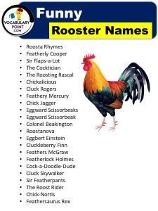 Awesome Rooster Names (400+ Best, Cute, Funny & Male) - Vocabulary Point