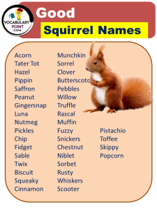 Best Squirrel Names (Cute, Funny, Male & Female) - Vocabulary Point