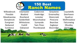 250 Best Ranch Names (Funny & Cool) - Vocabulary Point