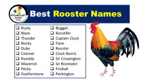 Awesome Rooster Names (400+ Best, Cute, Funny & Male) - Vocabulary Point