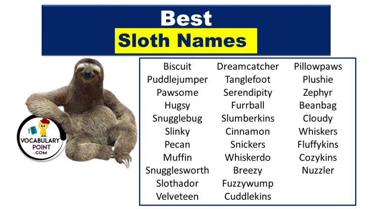 Best Sloth Names (Cute, Funny, Male & Female) - Vocabulary Point