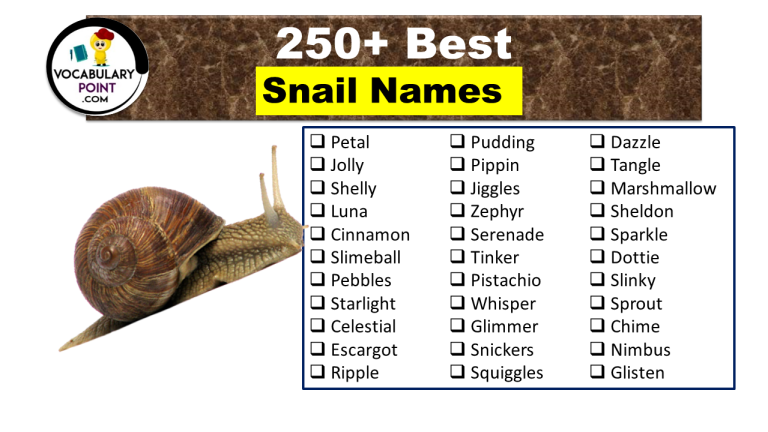 250+ Best Snail Names (Cute, Funny & Good Names) - Vocabulary Point