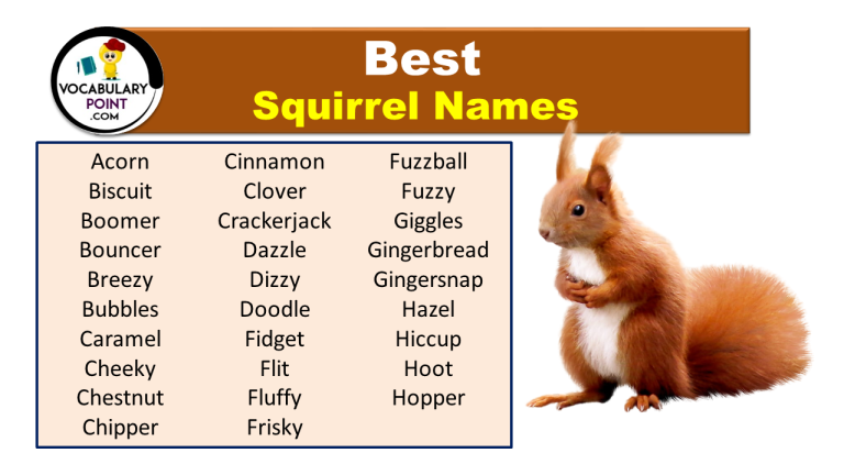 Best Squirrel Names (Cute, Funny, Male & Female) - Vocabulary Point