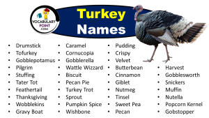 120+ Best Names For Pet Turkeys - Vocabulary Point