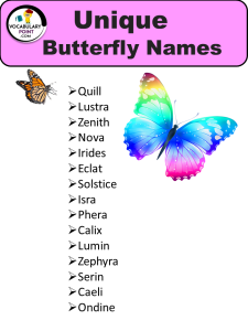 170+ Beautiful Butterfly Names (Cute & Colourful) - Vocabulary Point