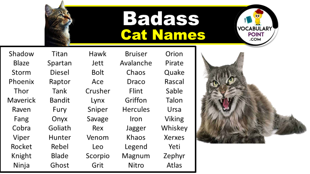 550+ Best Badass Cat Names Ideas (Male & Female) - Vocabulary Point