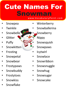 Funny Names for Snowman (Cute, Cool and Classic) - Vocabulary Point