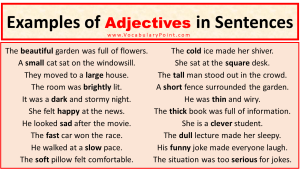120+ Examples of Adjectives In Sentences In English - Vocabulary Point
