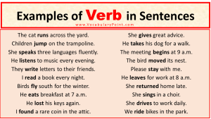 120+ Examples Of Verbs In Sentences In English - Vocabulary Point