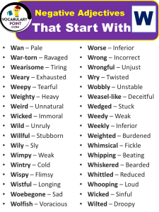 Negative Words That Start With W (Negative Adjectives) - Vocabulary Point