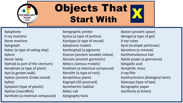 6oo+ Objects That Start With X (For Kids & Beginners) - Vocabulary Point