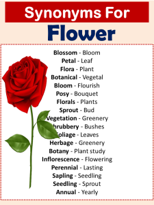 Adjectives for Flower (Descriptive Words for Flower) - Vocabulary Point