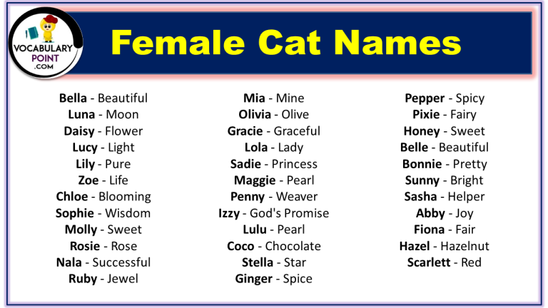 270+ Cute Names For Female Cats - Vocabulary Point