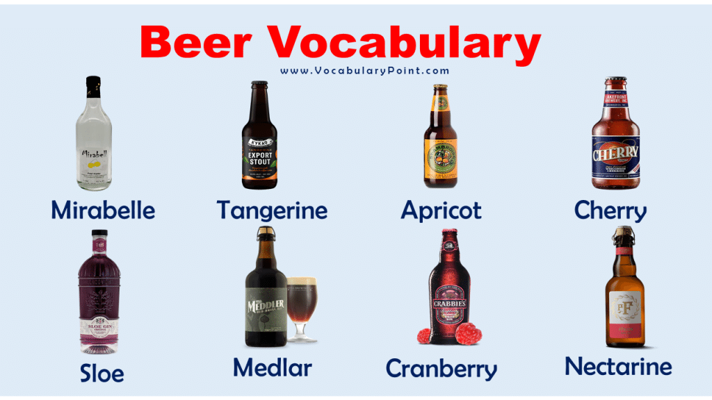 Beer Vocabulary (Beer Fruit Name in English) - Vocabulary Point