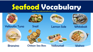 Seafood Vocabulary Words - Vocabulary Point