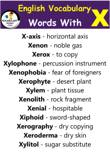 Words Start with X (Positive & Negative) - Vocabulary Point