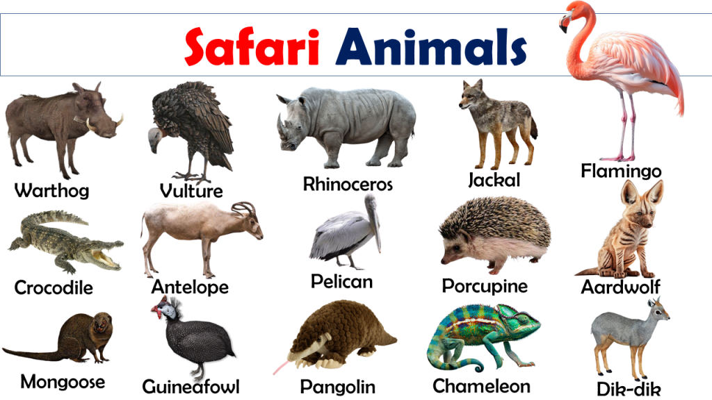 List of Safari Animals Vocabulary - Vocabulary Point