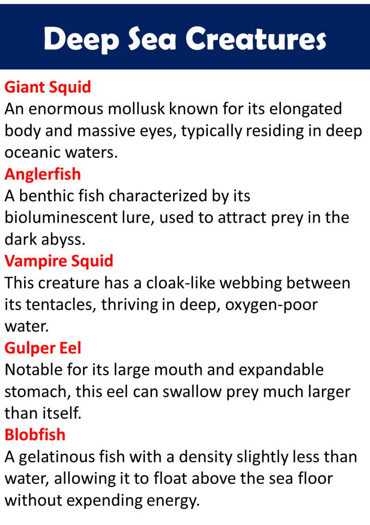 List of Sea Creatures - Vocabulary Point